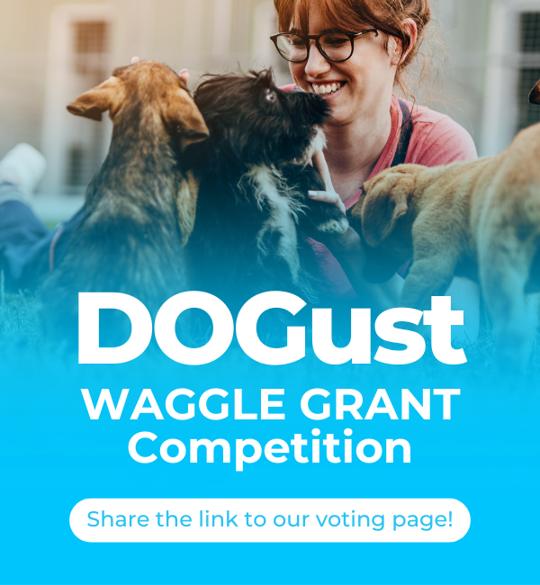 DOGust Voting Page